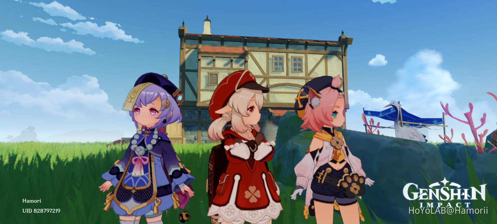 WAKARANAI Genshin Impact | HoYoLAB