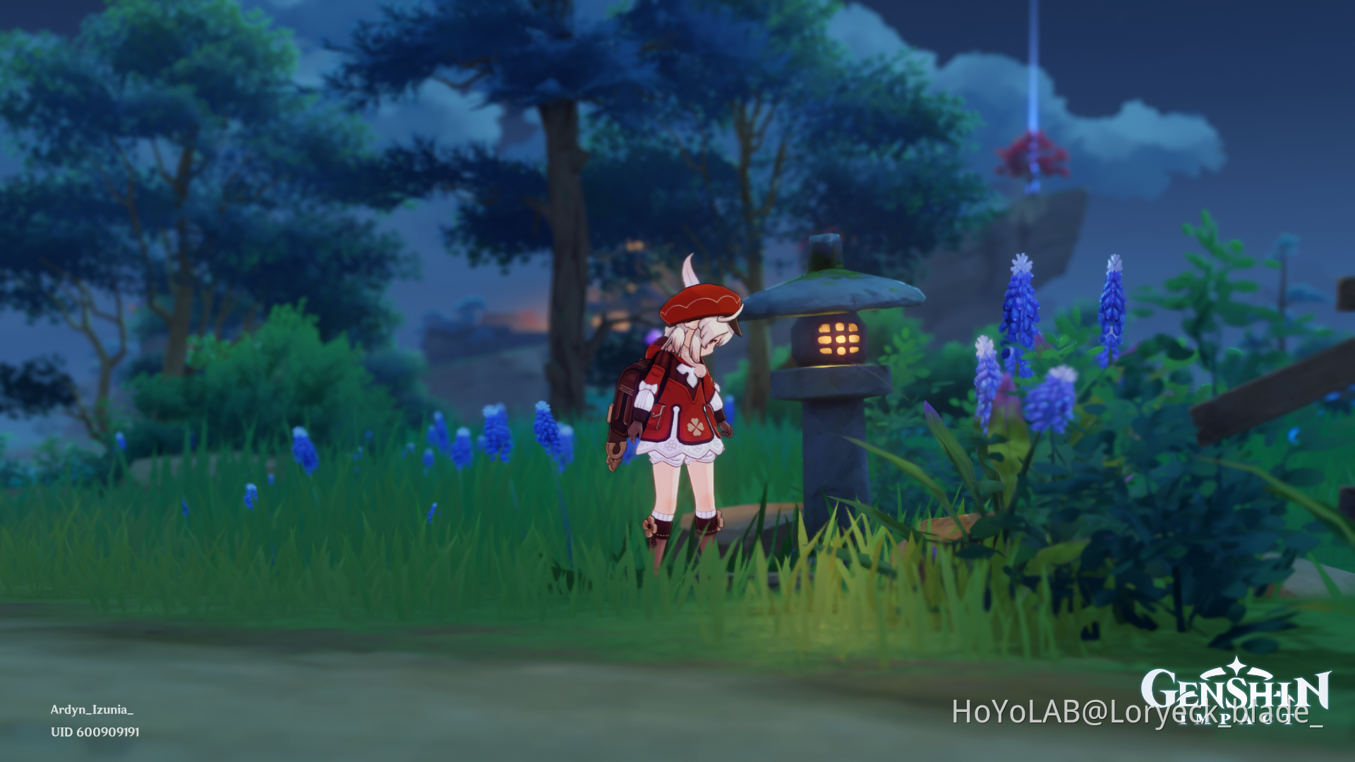 Dodoco!!! Genshin Impact | HoYoLAB