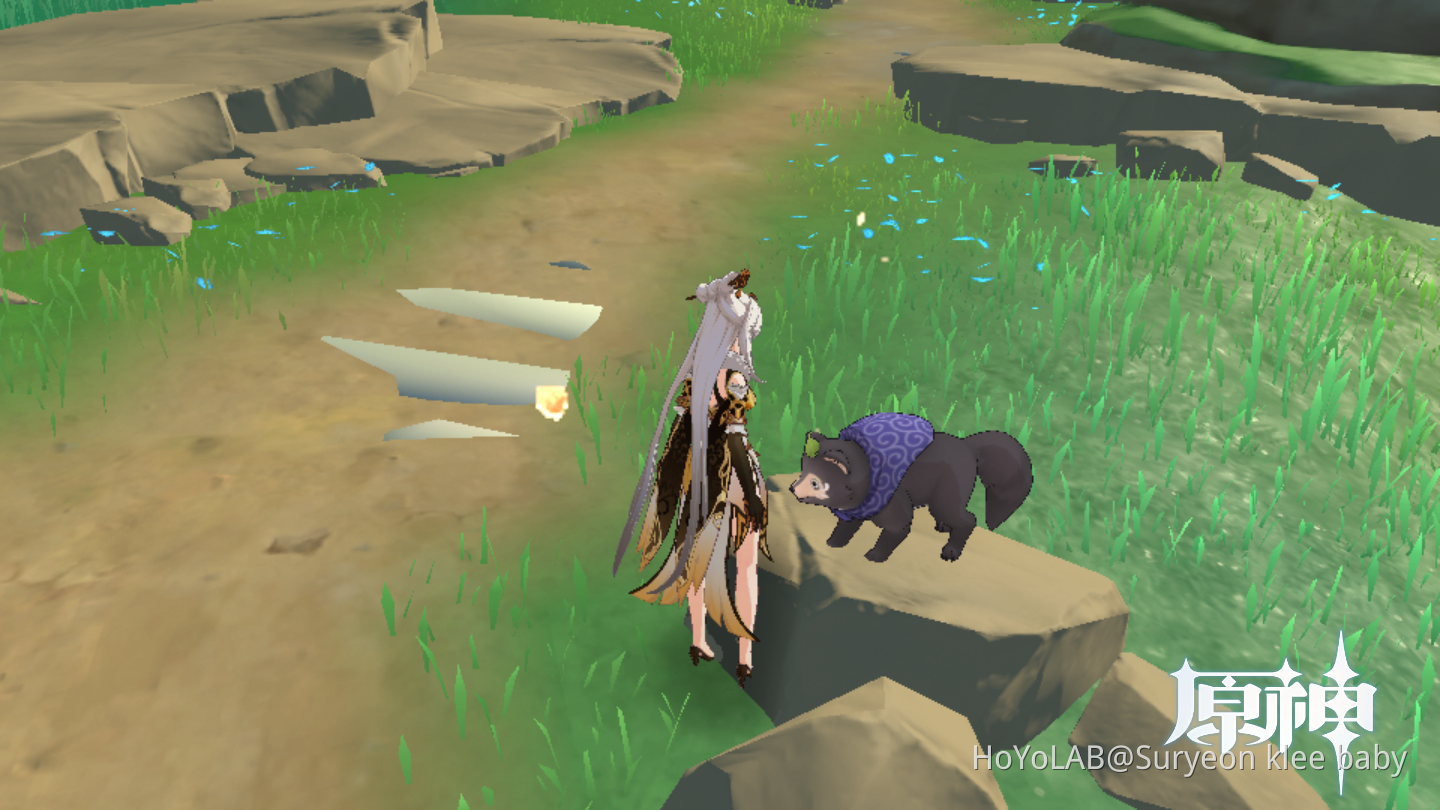 Cute animal at INAZUMA Genshin Impact | HoYoLAB