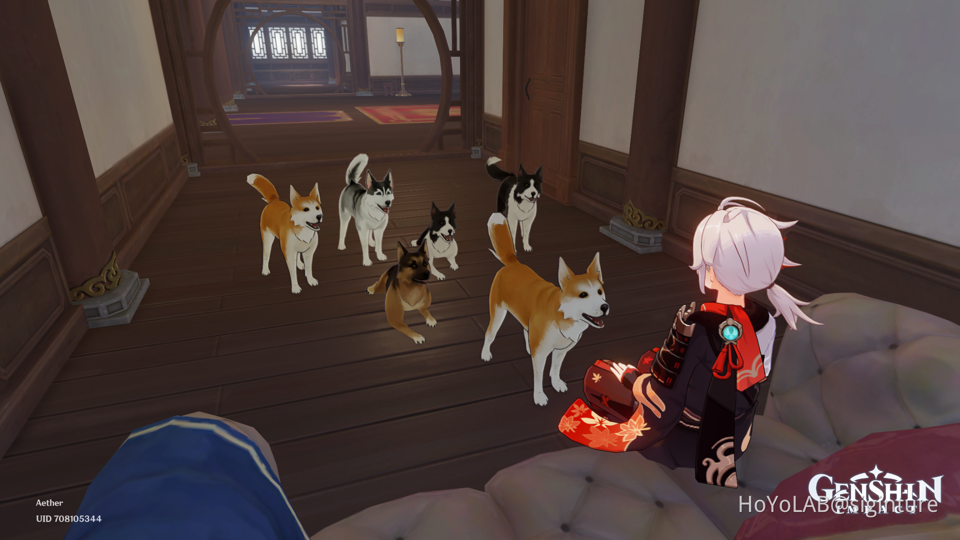mihoyopleaseletuspetdogs;-; Genshin Impact | HoYoLAB