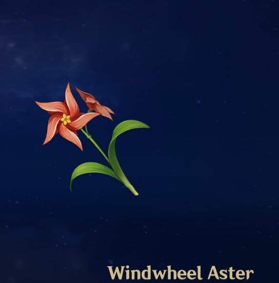 🟩Mondstadt Windwheel Aster🟩 Genshin Impact | HoYoLAB