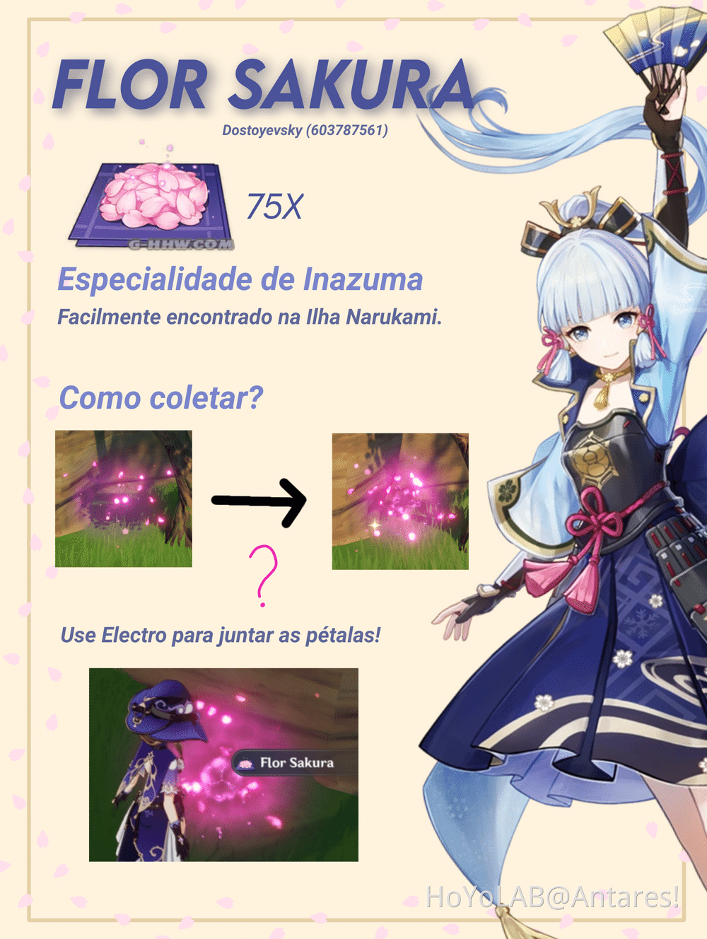 [Guias 2.0] Como coletar Flor Sakura em Inazuma | Genshin Impact | HoYoLAB