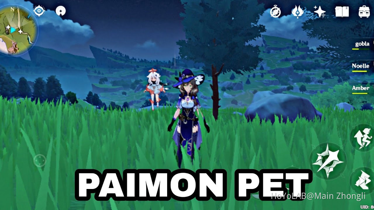 PAIMON pet Genshin Impact | HoYoLAB