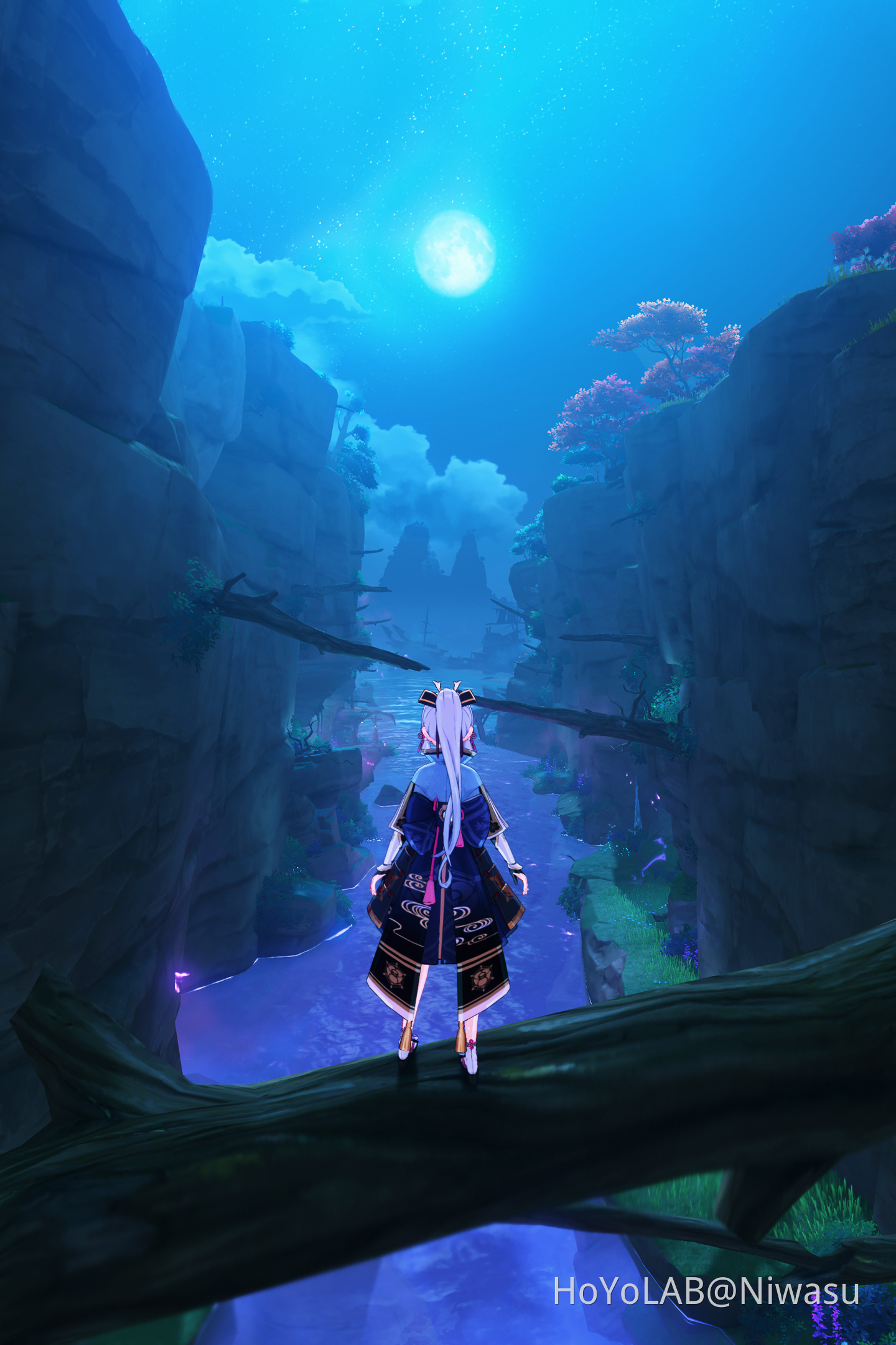 Photomode - Inazuma Screenshots - Set 02 | Genshin Impact | HoYoLAB