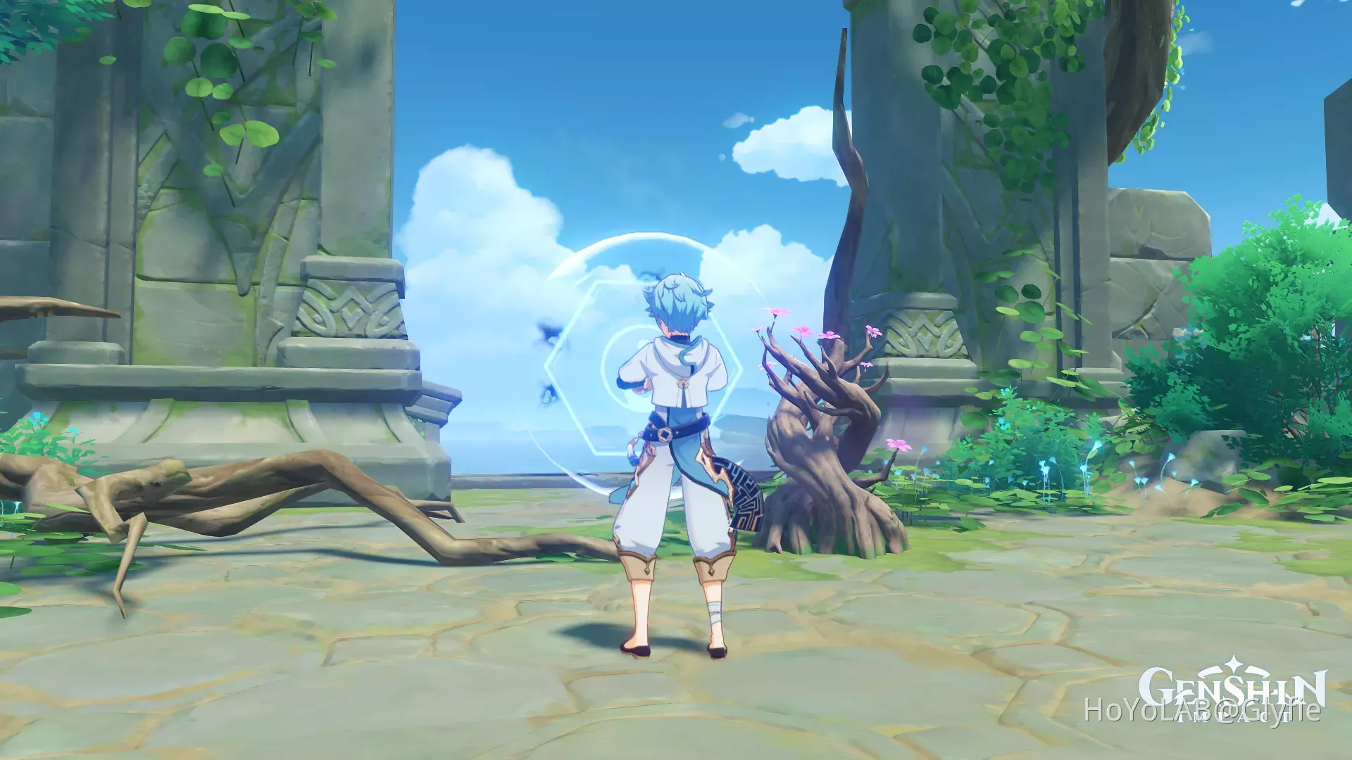 Bug?? Genshin Impact | HoYoLAB
