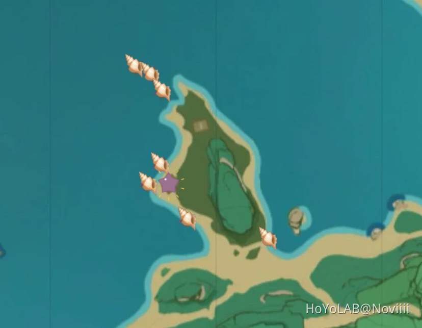 Mysterious conch guide! Genshin Impact | HoYoLAB