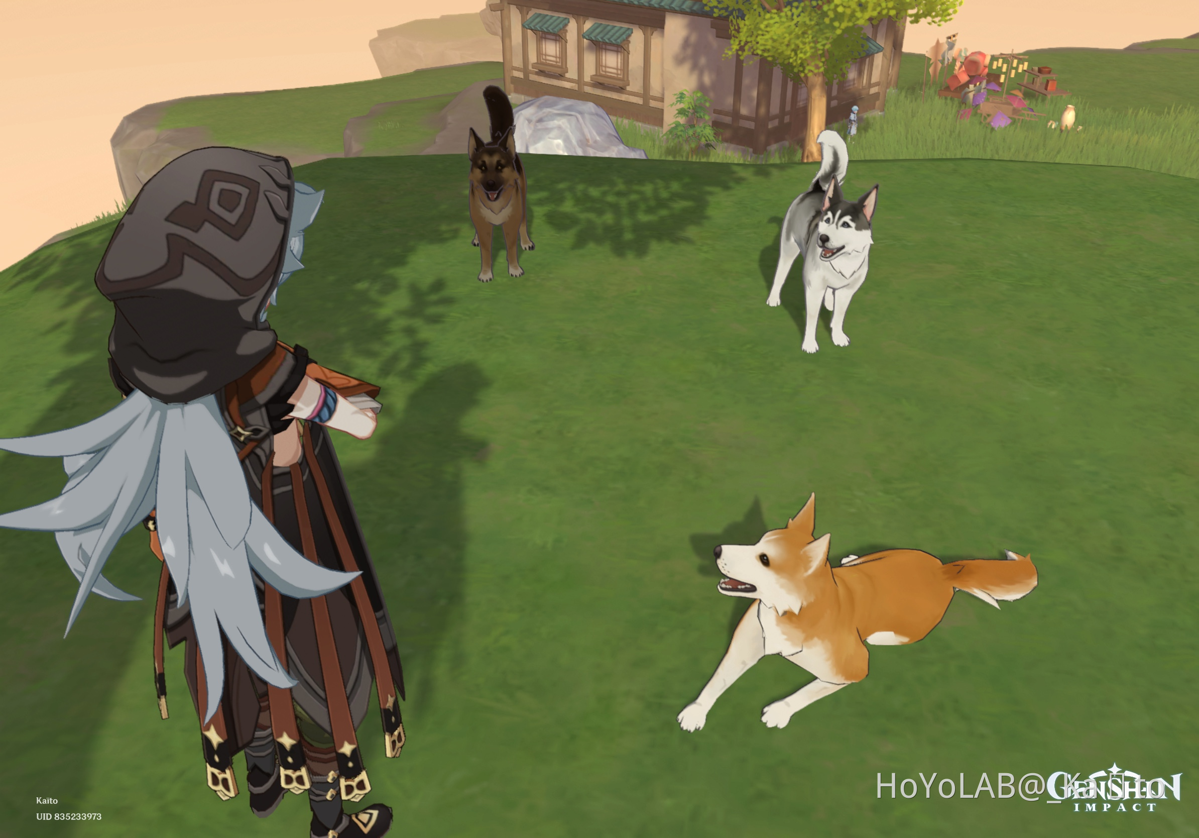 wolf boi Genshin Impact | HoYoLAB