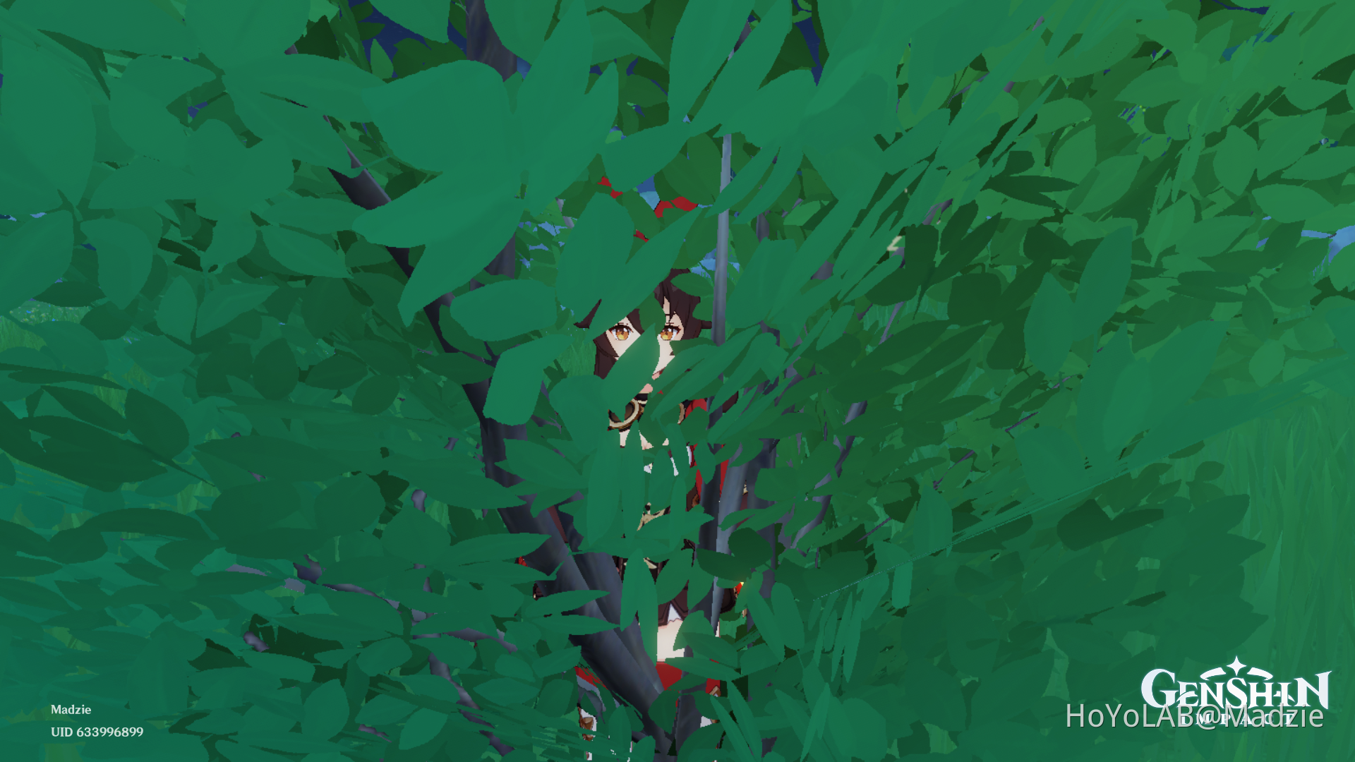 POV: You Got a New Pyro Character Genshin Impact | HoYoLAB