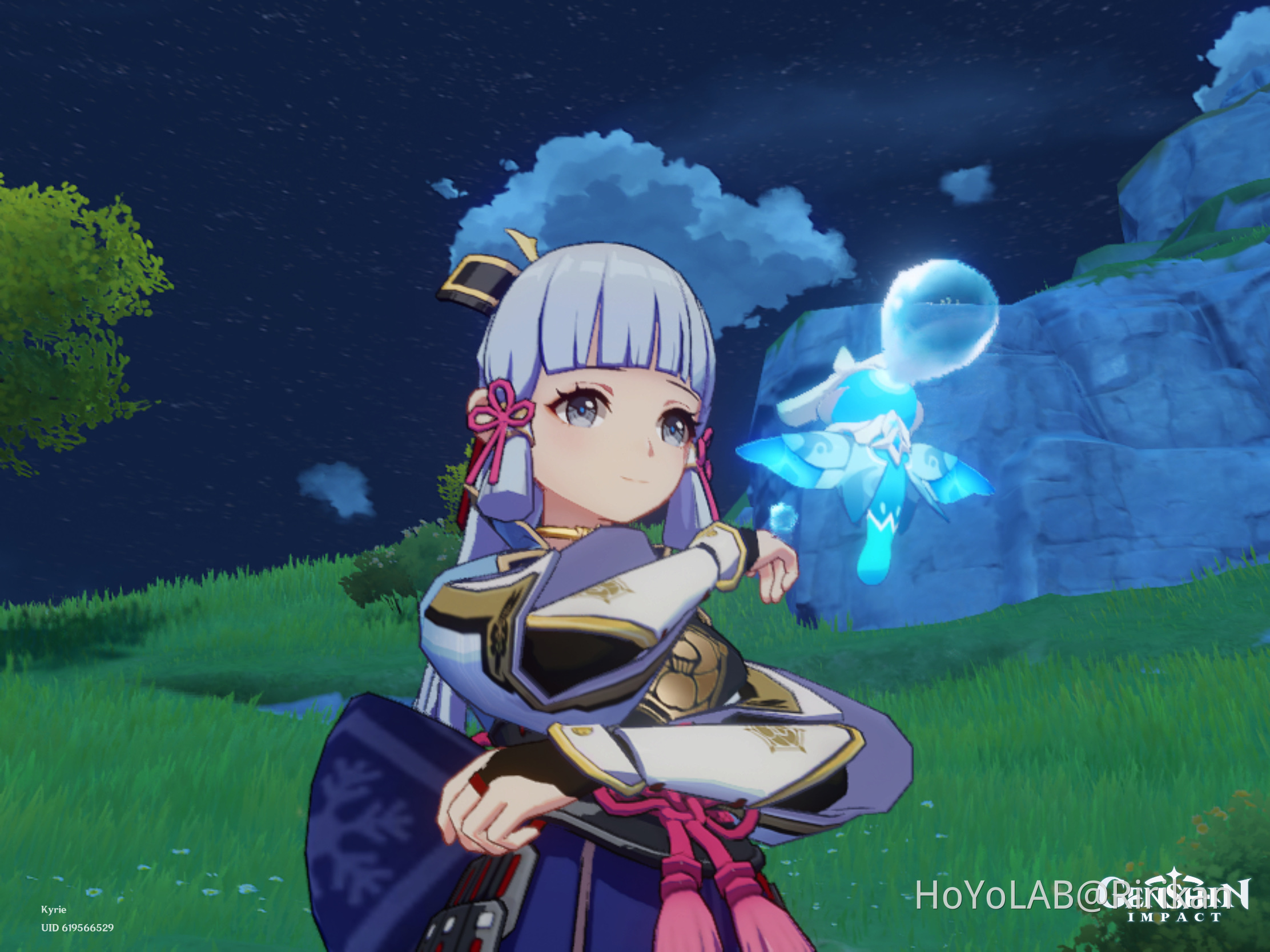 Endora best companion Genshin Impact | HoYoLAB