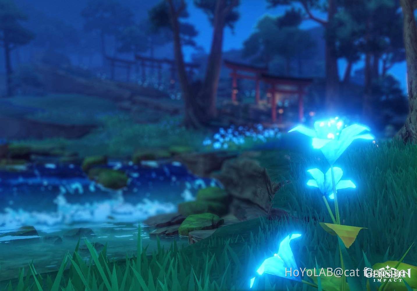 scenes of inazuma! Genshin Impact | HoYoLAB