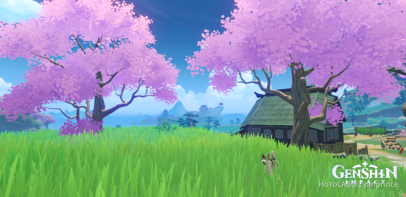 beautiful sakura trees Genshin Impact | HoYoLAB