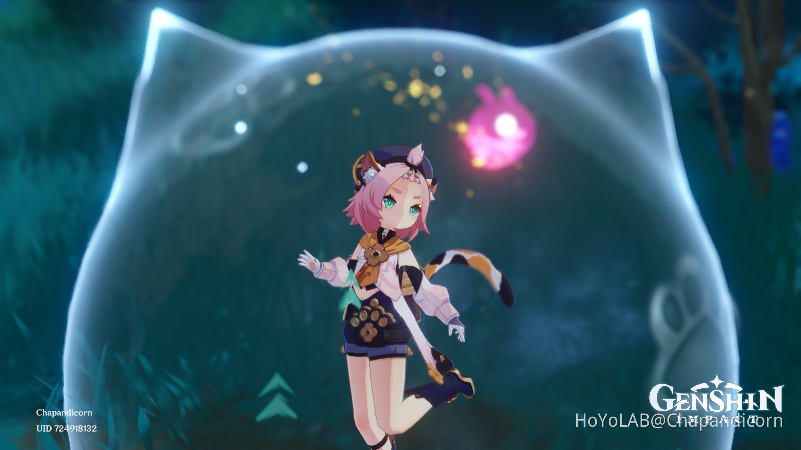 Diona diona mew Genshin Impact | HoYoLAB