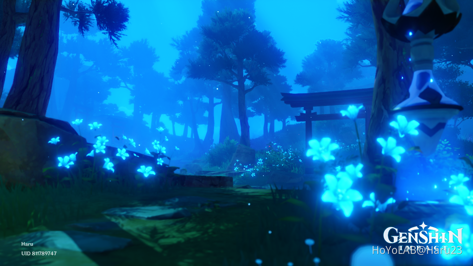 Blue Genshin Impact | HoYoLAB