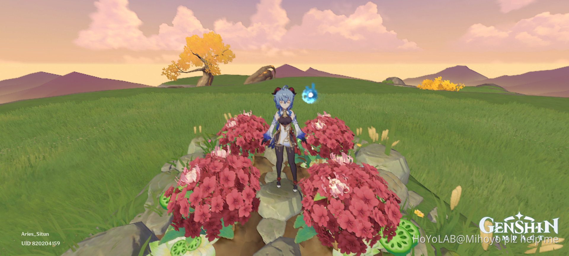 Farming ^-^ Genshin Impact | HoYoLAB