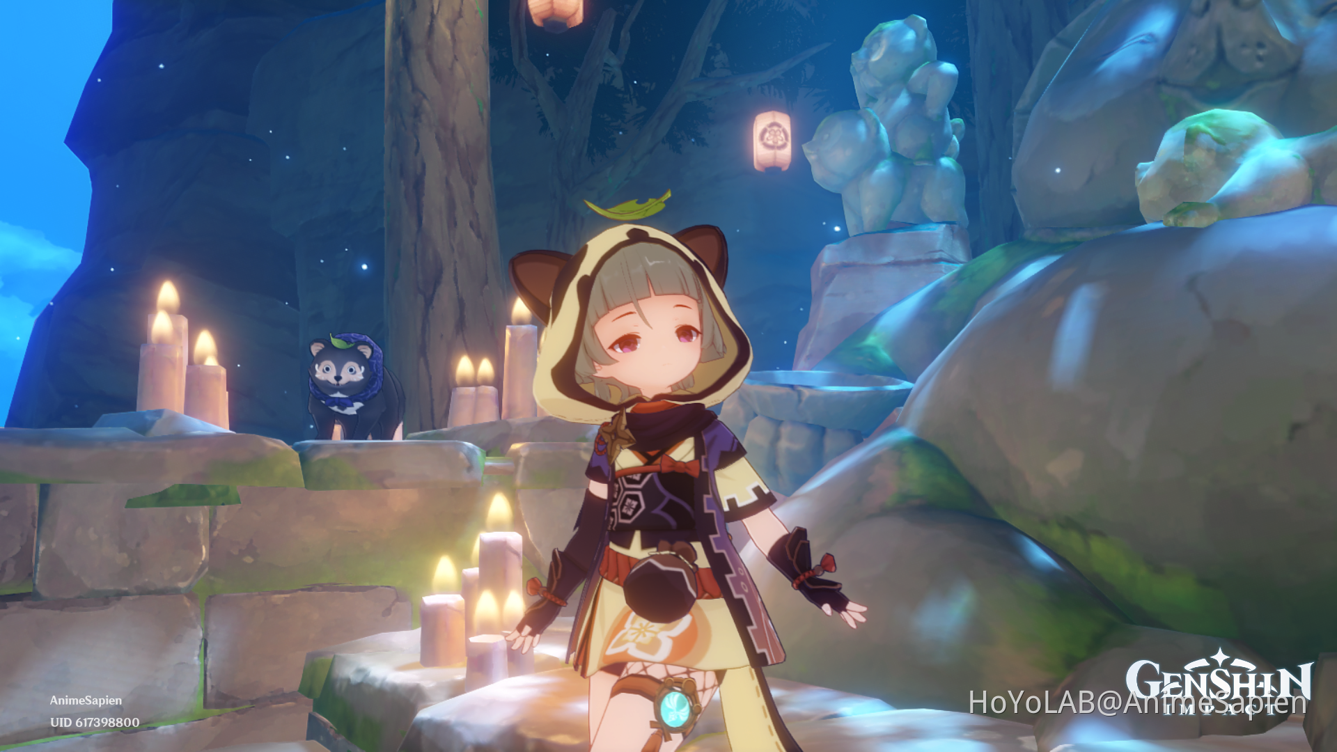 Good place to summon a tanuki ninja. Genshin Impact | HoYoLAB