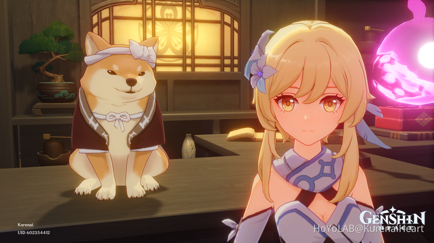 what the dog doin Genshin Impact | HoYoLAB