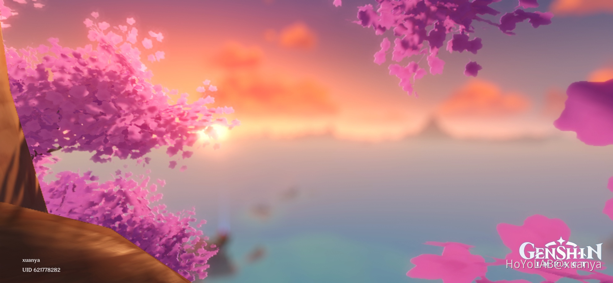 inazuma cherry blossoms Genshin Impact | HoYoLAB