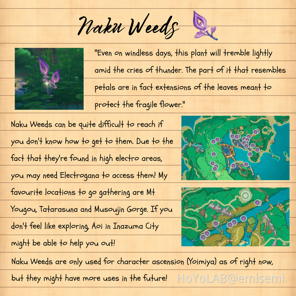 A Guide To The Materials of Inazuma Genshin Impact | HoYoLAB