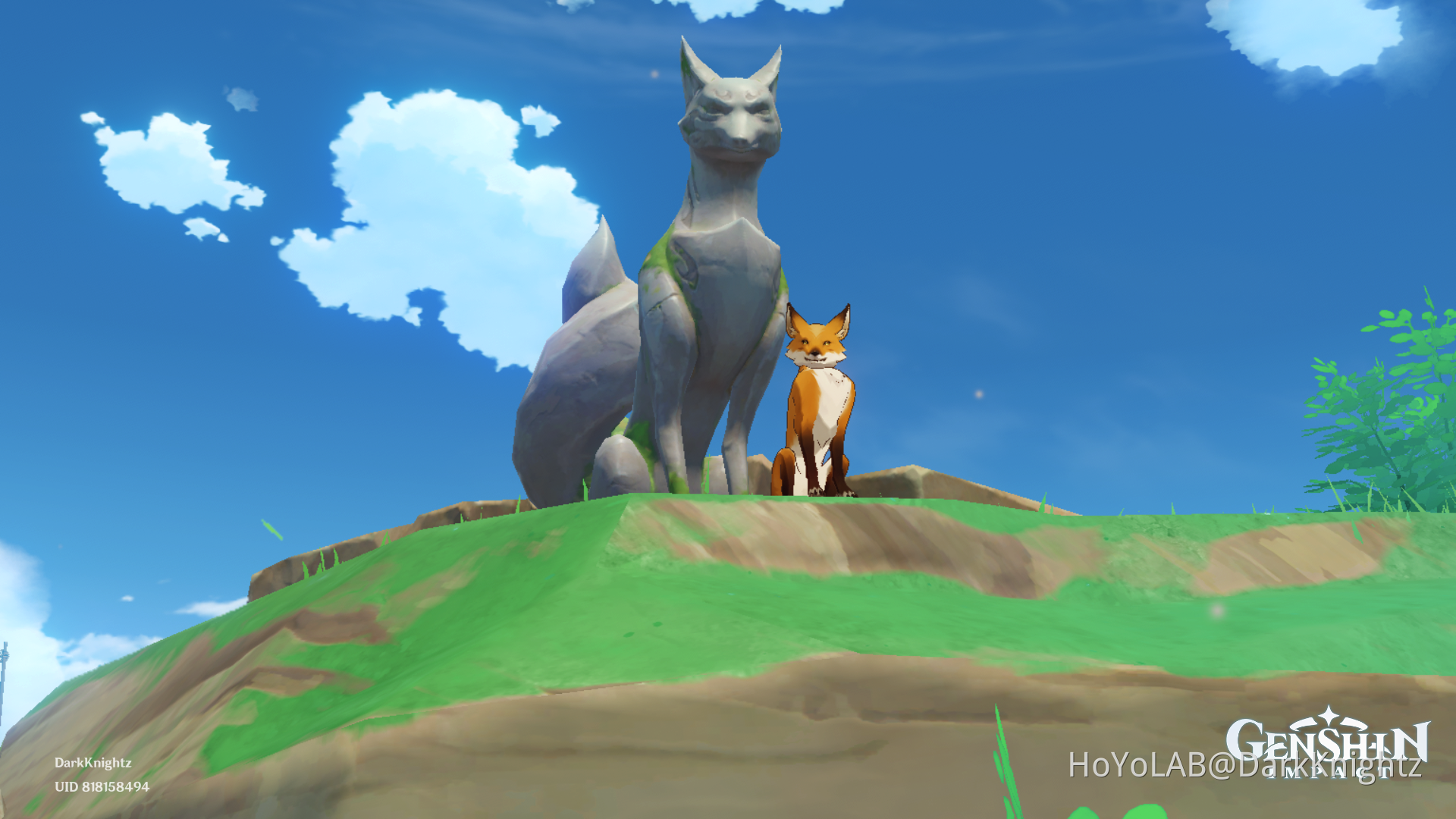 Fox in Inazuma Genshin Impact | HoYoLAB