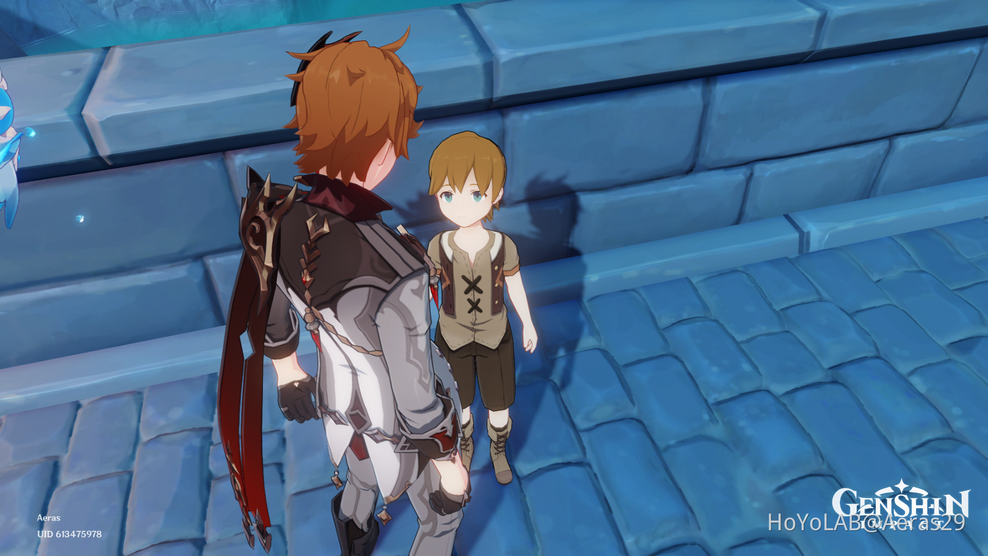 Do you repeat that about your little birds? Genshin Impact | HoYoLAB