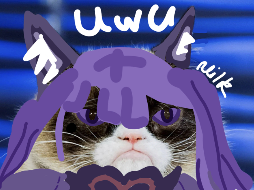 Baal Is A Cat Waifu Genshin Impact | HoYoLAB