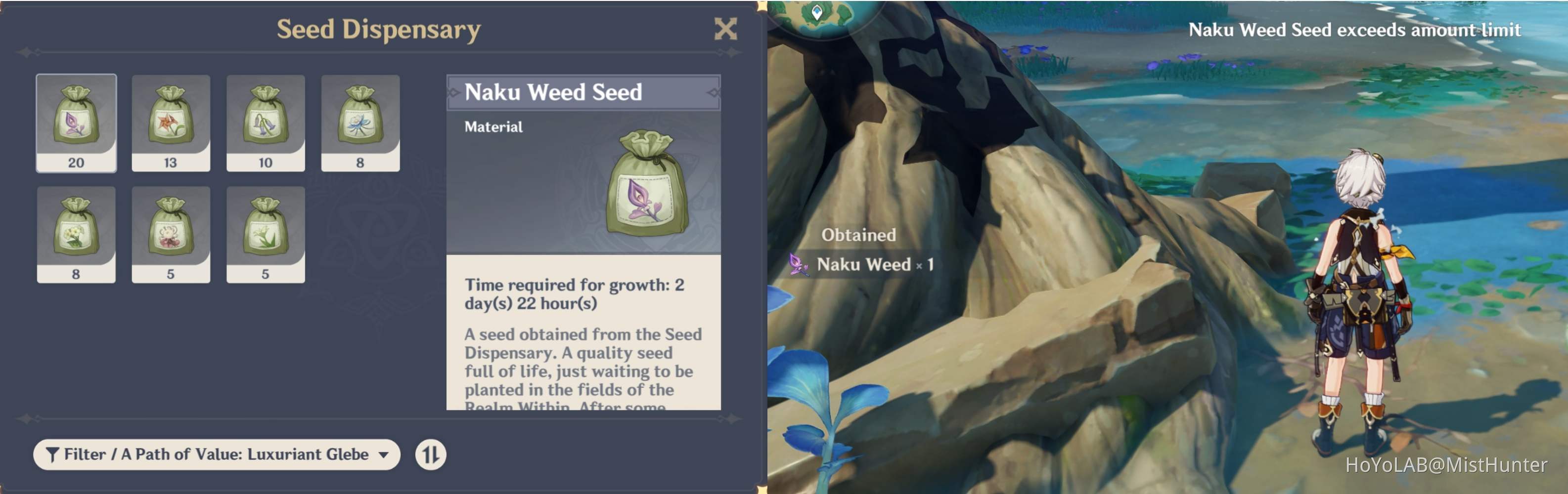 Travelers’ guide to gardening Genshin Impact | HoYoLAB