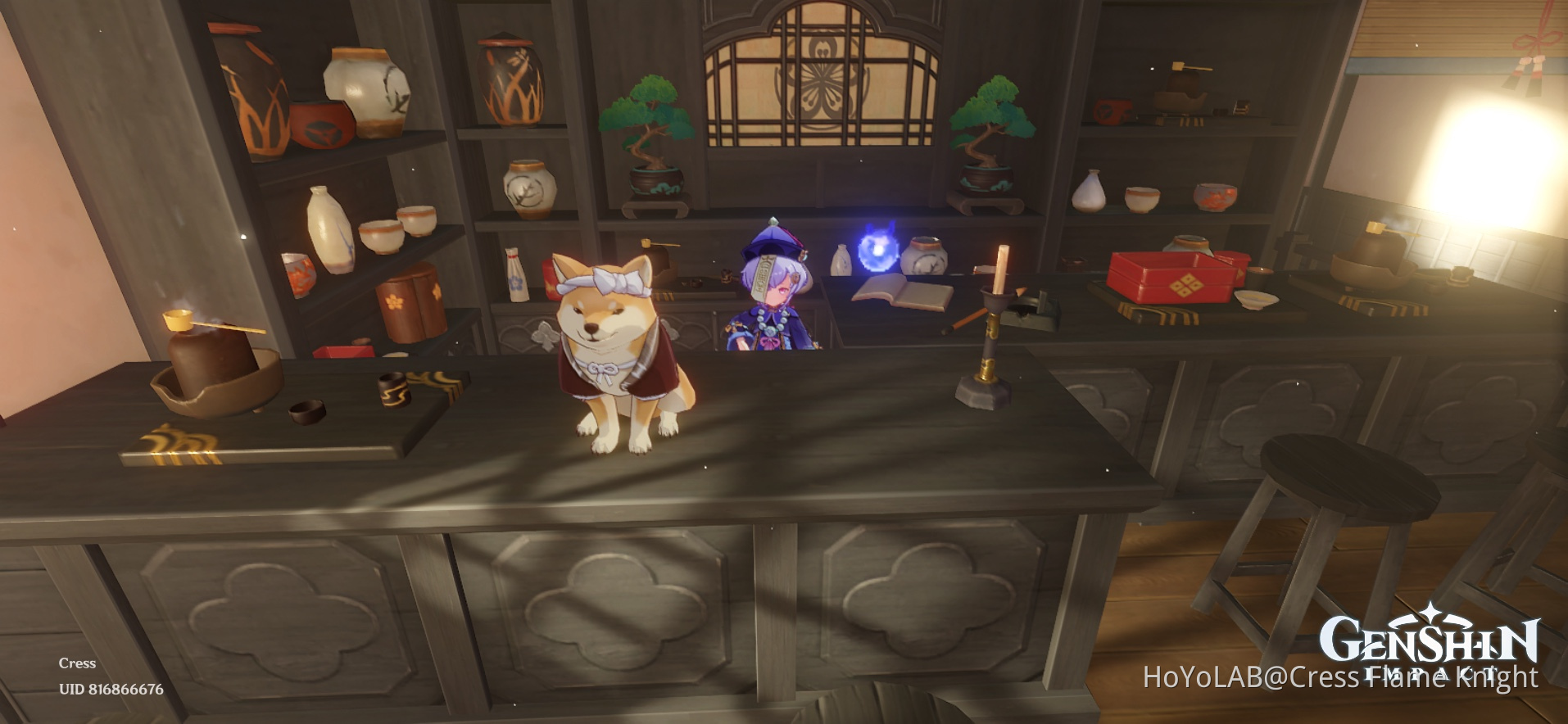 When you were asked to guard the good boi guard doggo. Genshin Impact ...