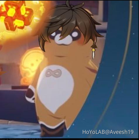 choose your guoba Genshin Impact | HoYoLAB