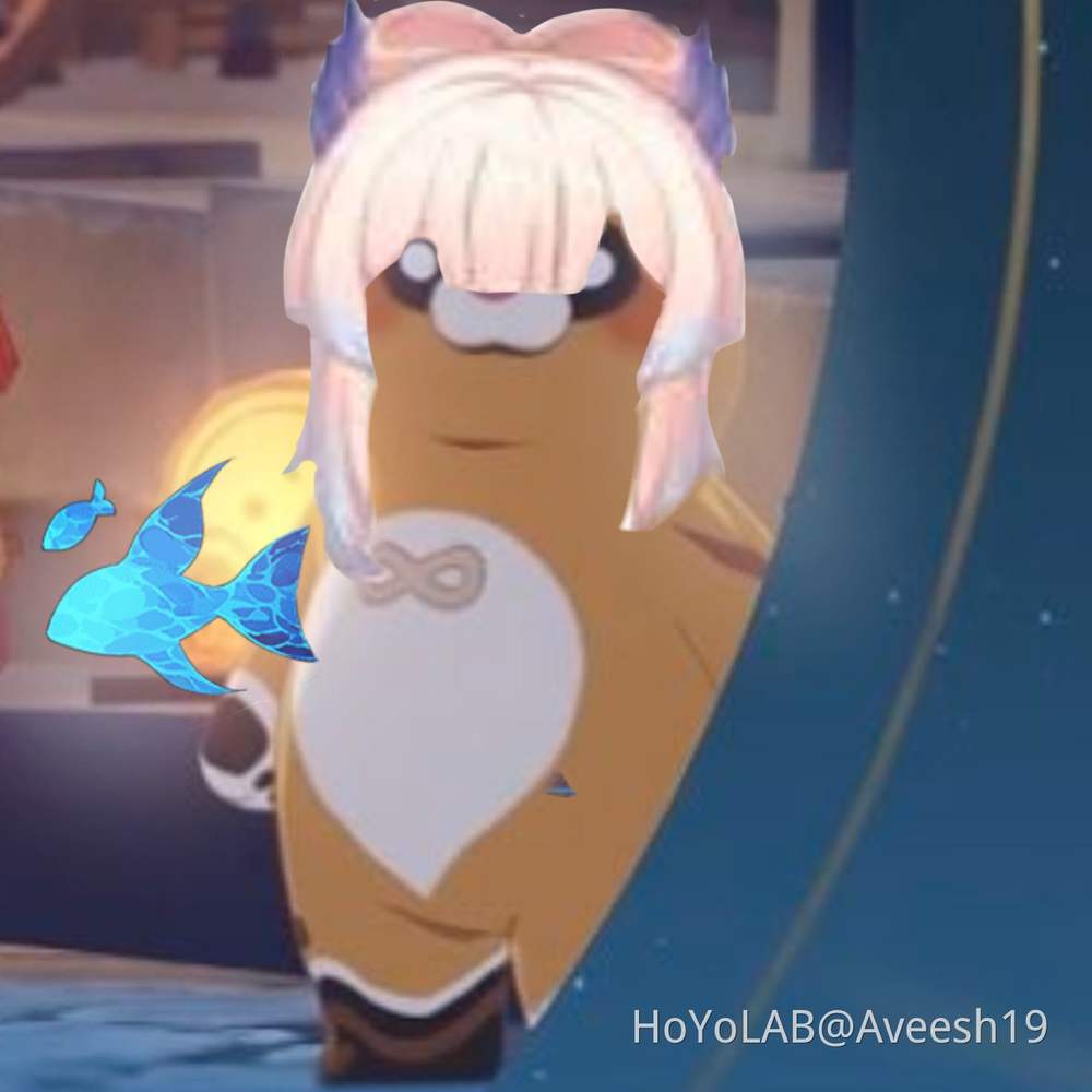 choose your guoba Genshin Impact | HoYoLAB