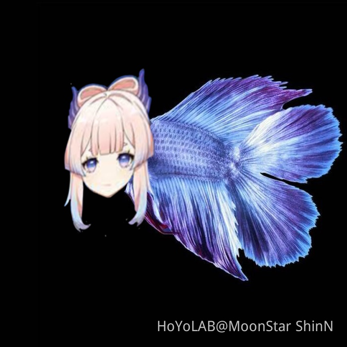 Kokofish Genshin Impact | HoYoLAB