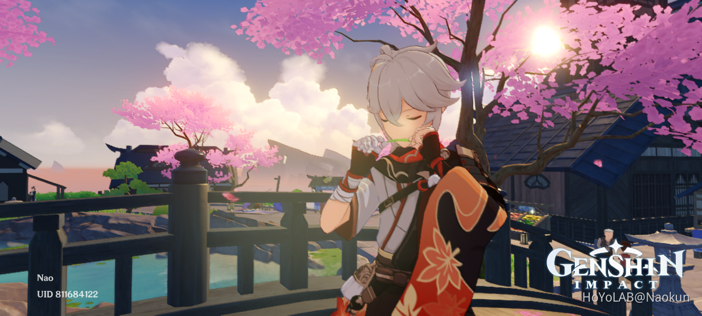 cherry blossom tree Genshin Impact | HoYoLAB