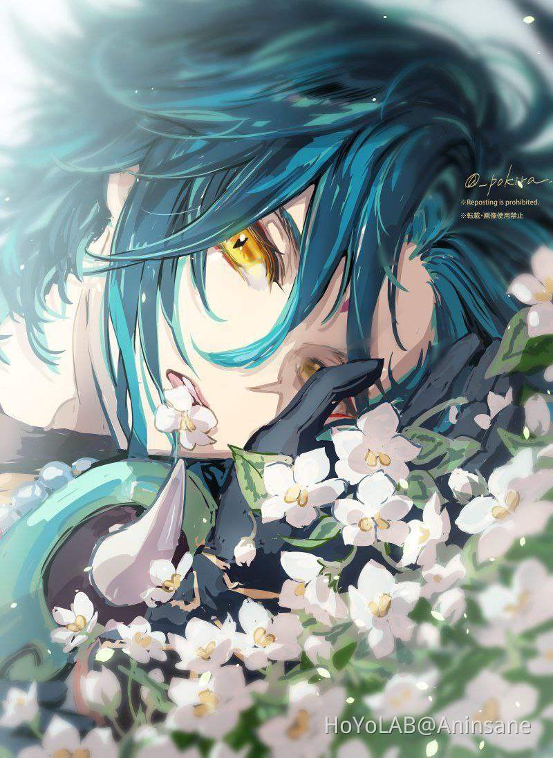 Albedo Rerun vs. Xiao Rerun Genshin Impact | HoYoLAB