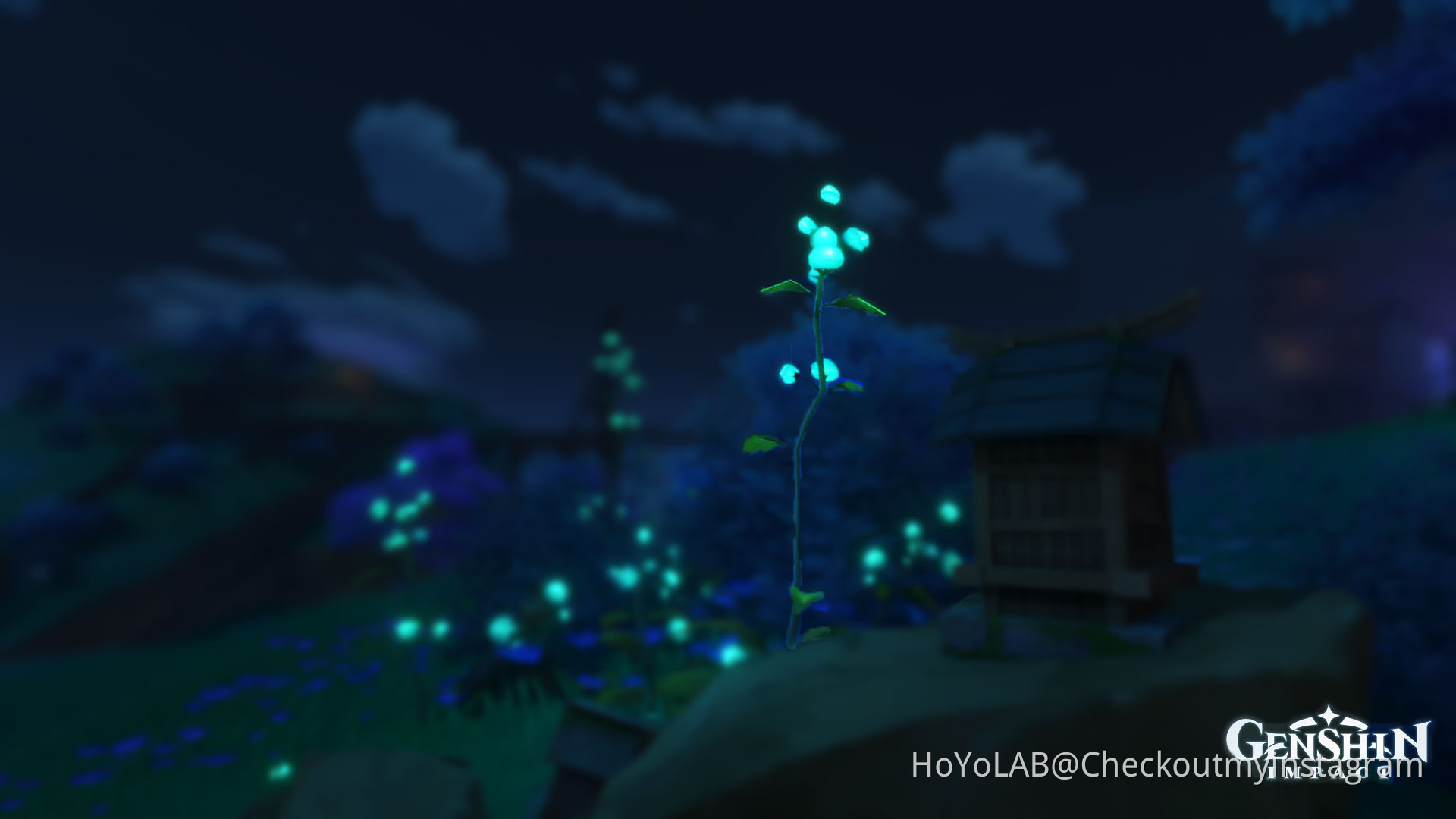 Appreciation of Nature in Inazuma Genshin Impact | HoYoLAB