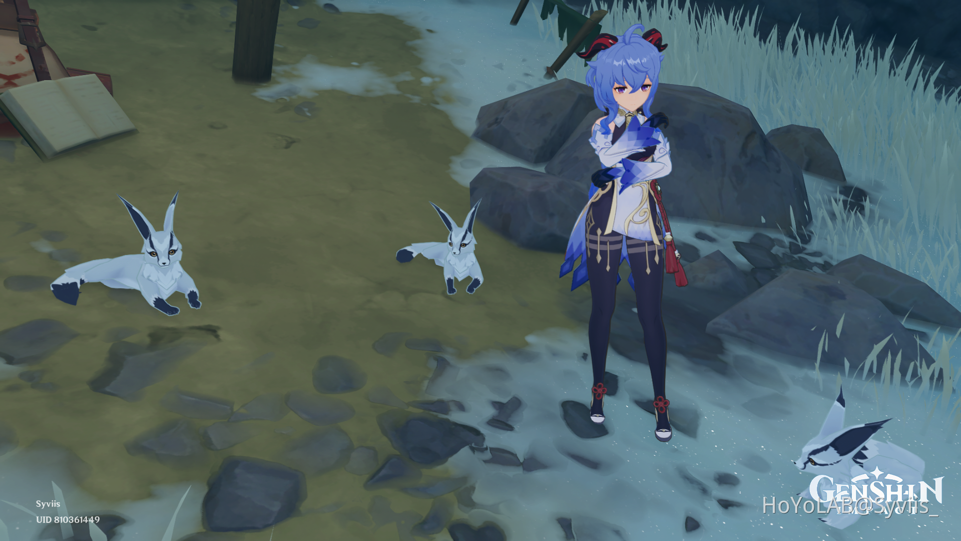 Some pictures of some animals Genshin Impact | HoYoLAB