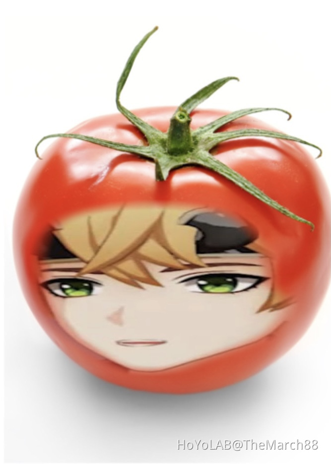 Thomato Genshin Impact | HoYoLAB