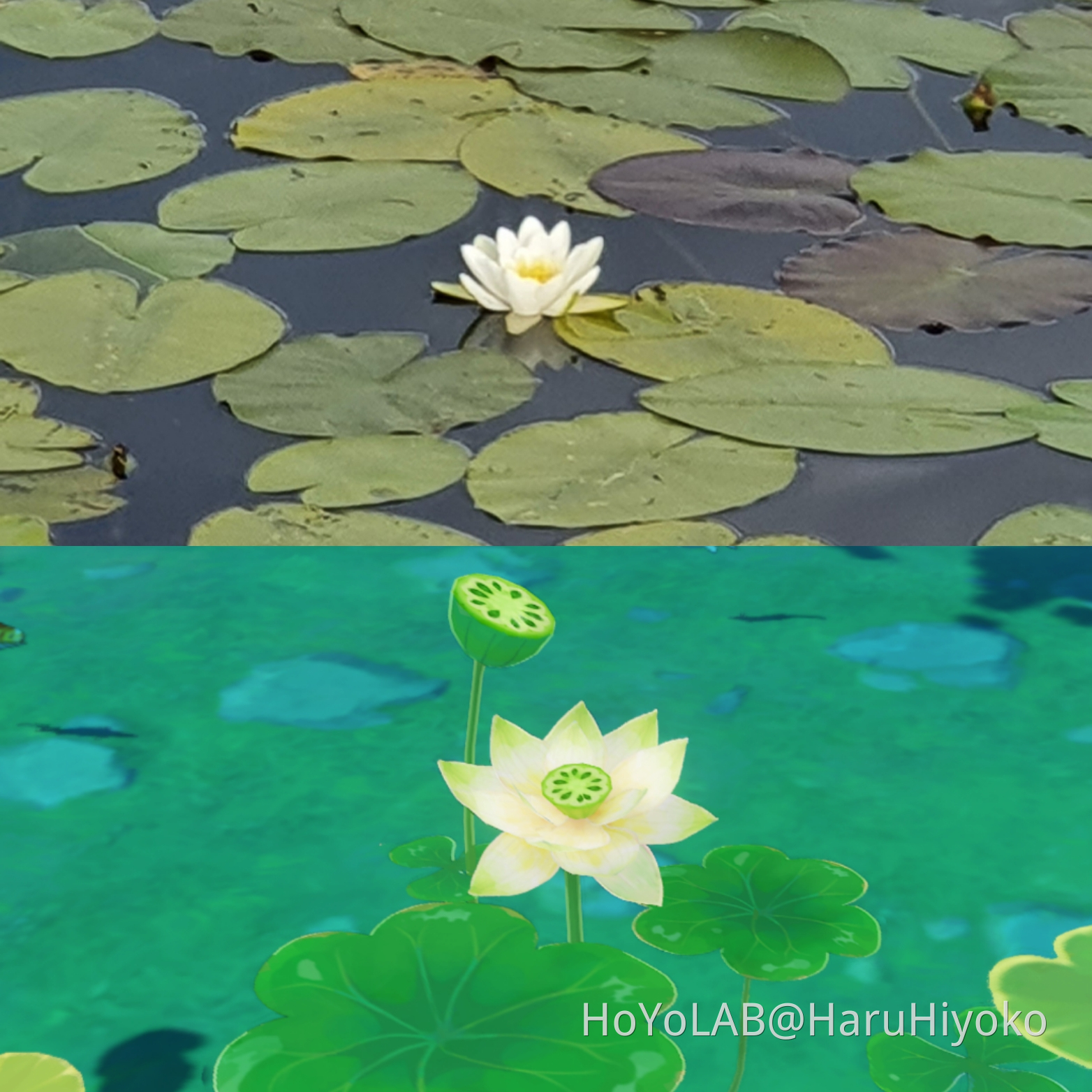 lotus head Genshin Impact | HoYoLAB