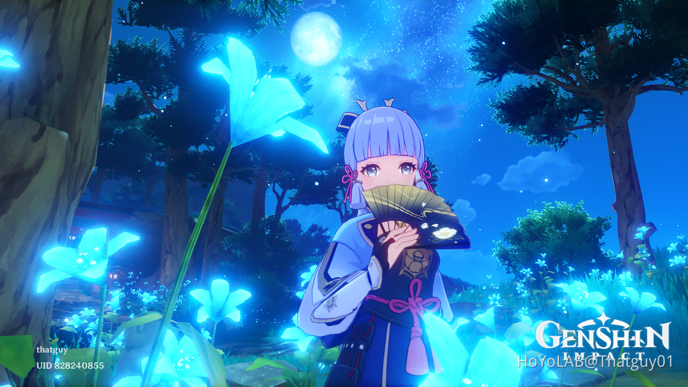 Elegance Under Moonlight Genshin Impact | HoYoLAB