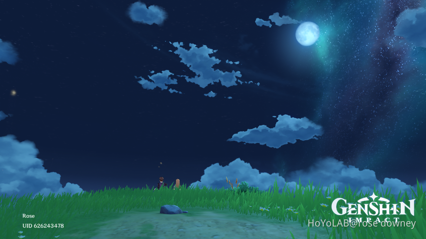 Night sky | Genshin Impact | HoYoLAB