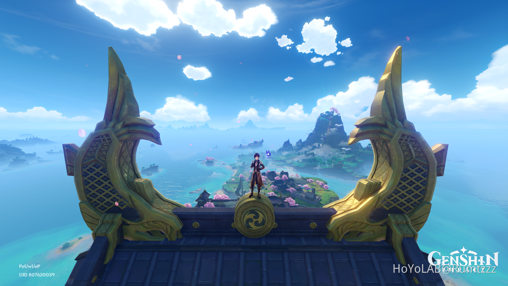 Ready to wish for RAIDEN SHOGUN Genshin Impact | HoYoLAB