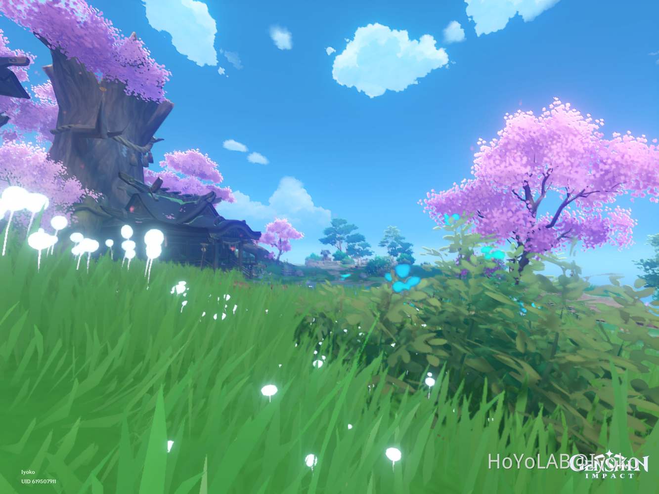 Inazuma’s Beauty 2 Genshin Impact | HoYoLAB