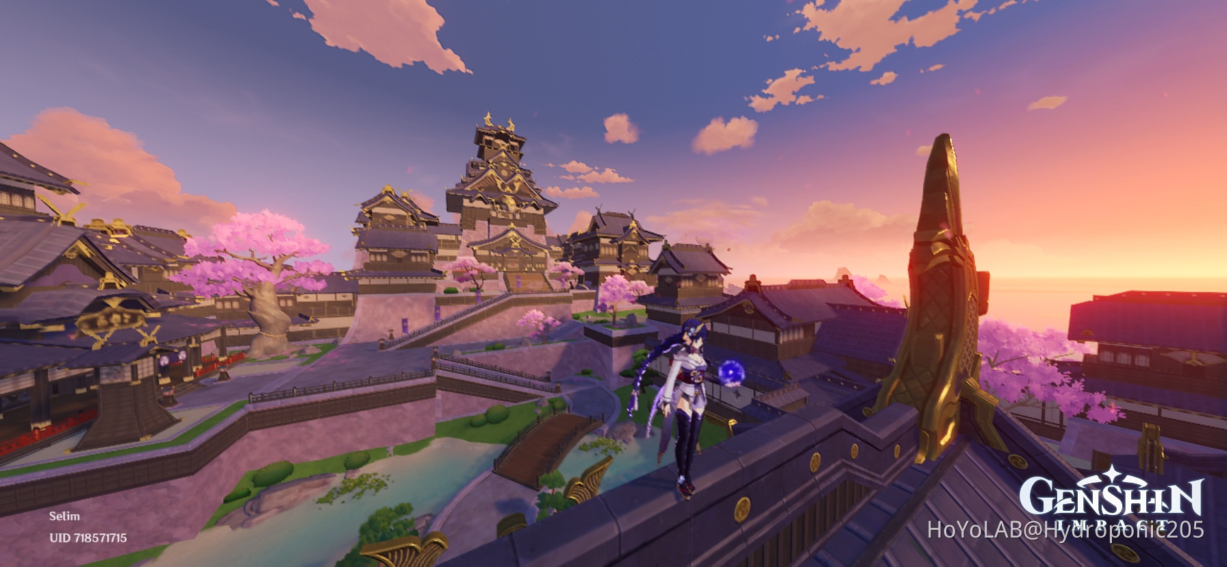 Inazuma and Their Archon Genshin Impact | HoYoLAB