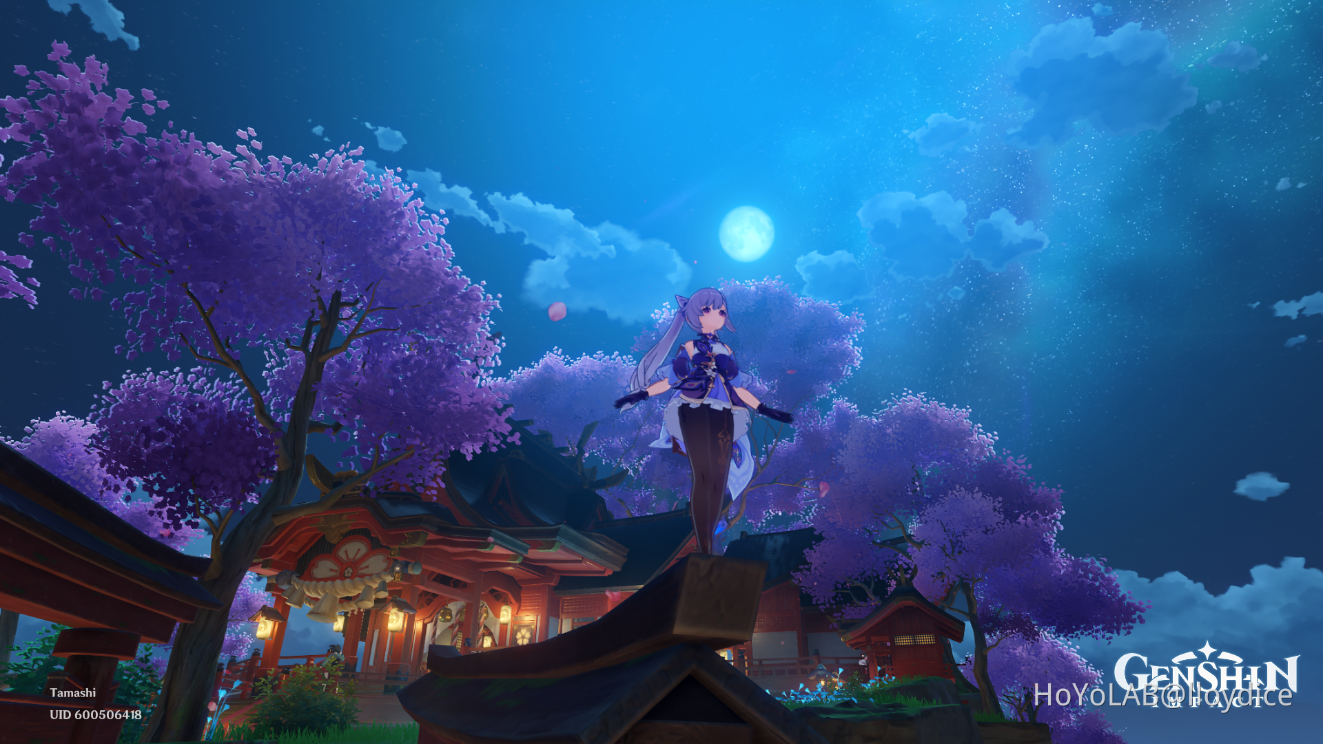 A starry night Genshin Impact | HoYoLAB