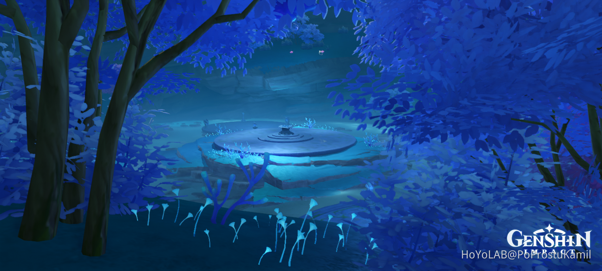 Beautiful places in Inazuma Genshin Impact | HoYoLAB