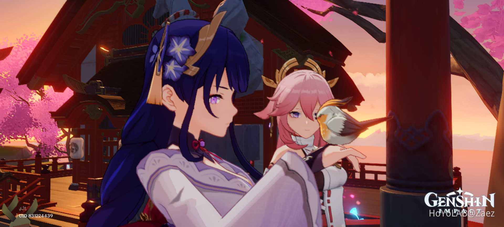 Raiden and yae Genshin Impact | HoYoLAB