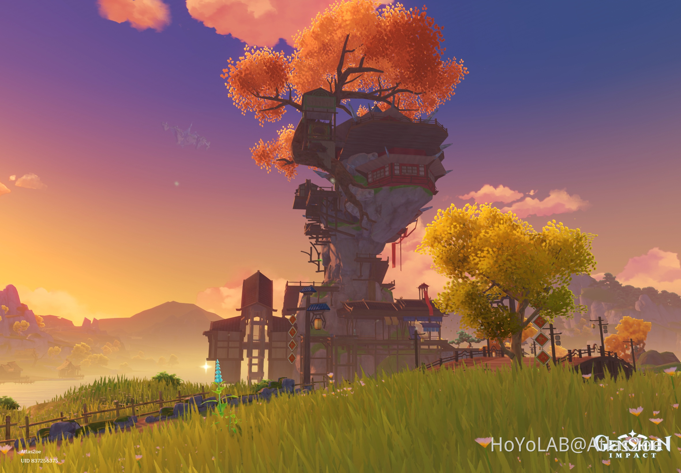 Wangshu Inn, Liyue and Mondstat Genshin Impact | HoYoLAB