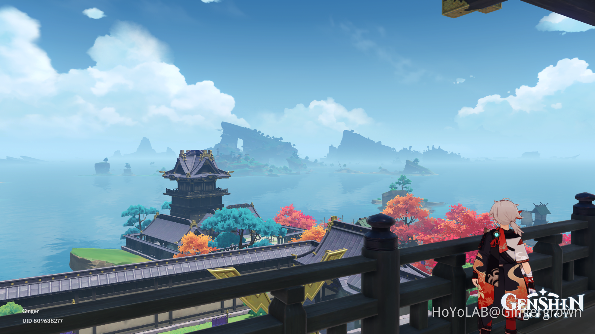 The beauty of inazuma Genshin Impact | HoYoLAB