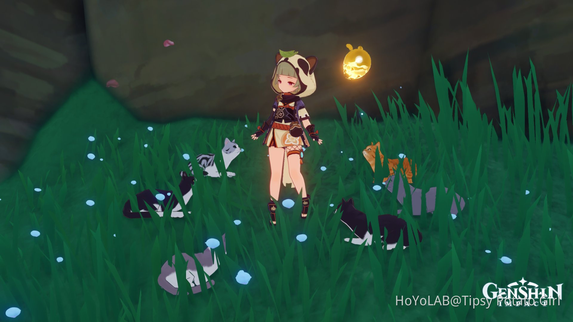 Sayu likes cats Genshin Impact | HoYoLAB