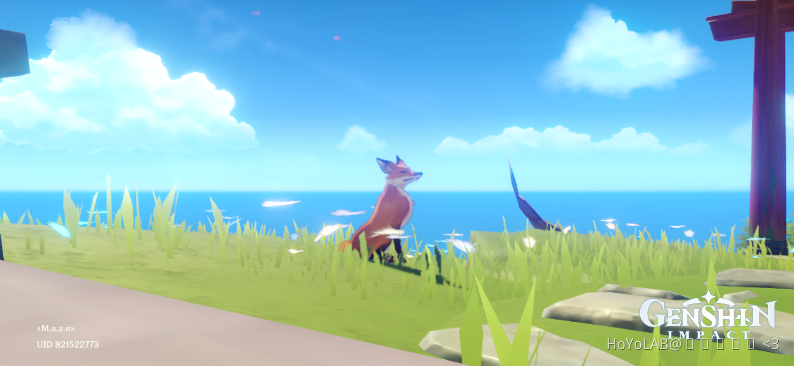 cute fox Genshin Impact | HoYoLAB