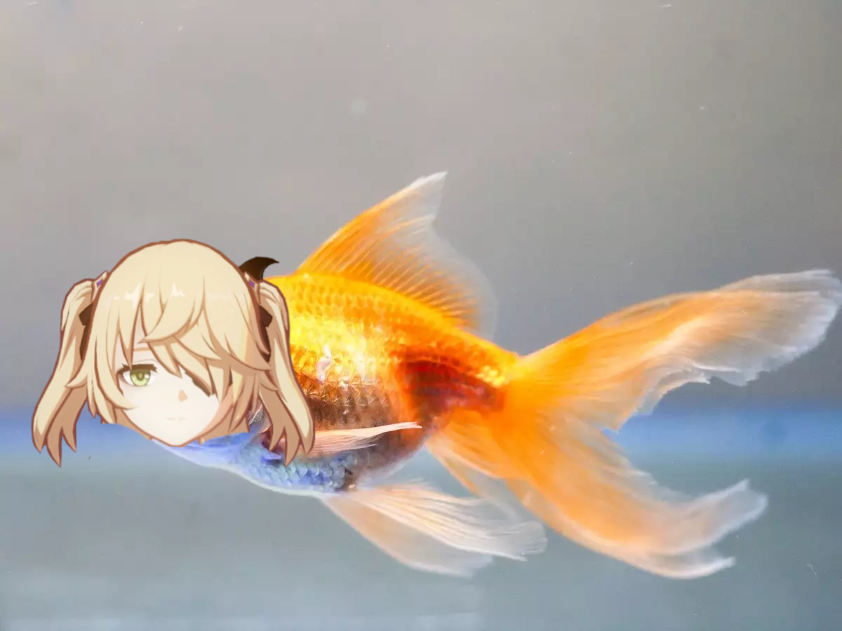 Fishcl The Fish Genshin Impact | HoYoLAB