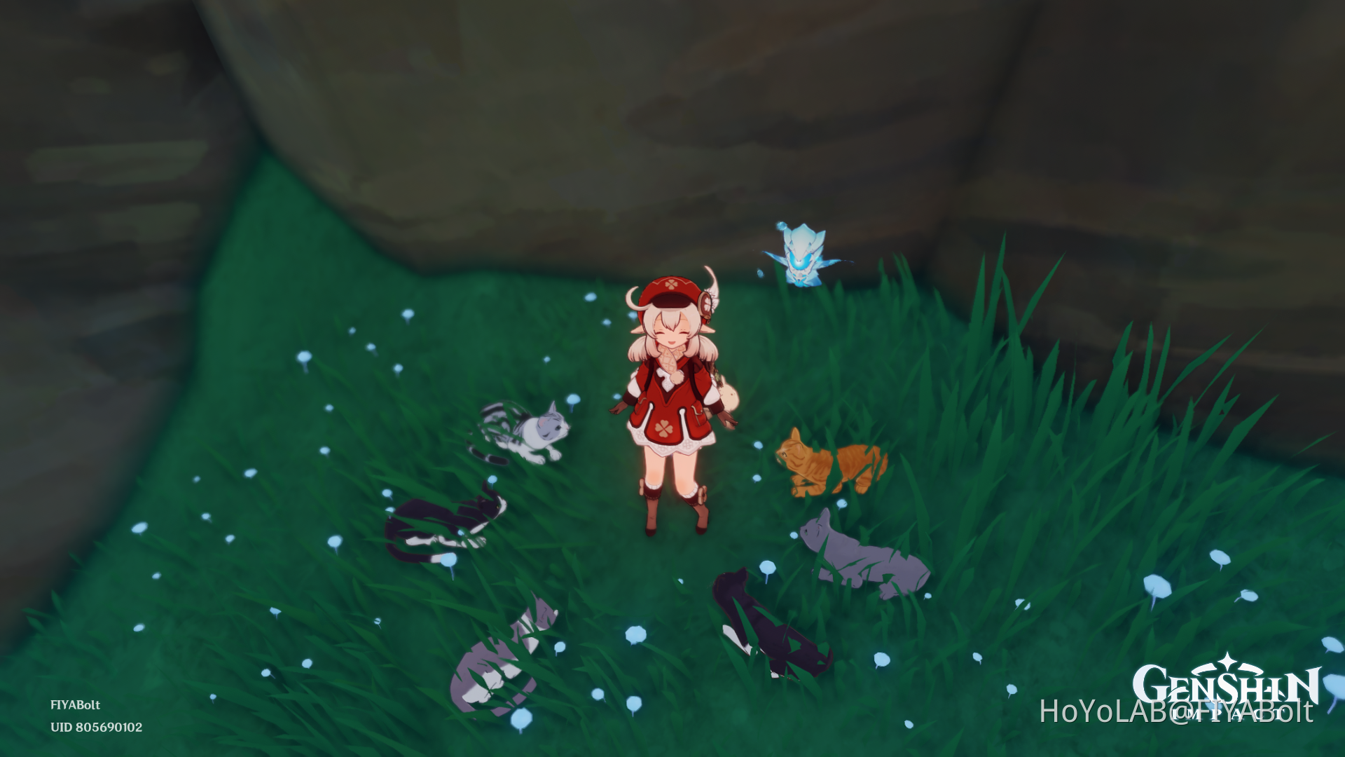 CATS Genshin Impact | HoYoLAB